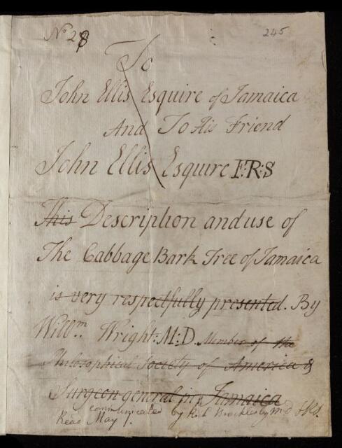 Letter, 'Jesuit's bark tree; Cabbage bark tree' from William Wright to ...