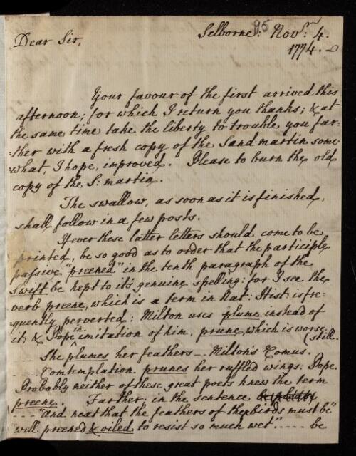 Letter, 'On the words preene and preening versus plume and pluming ...
